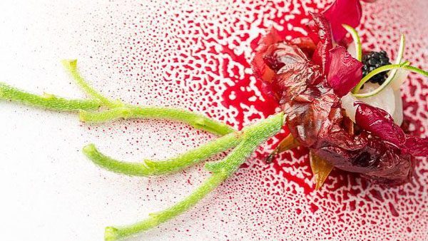 Sternekoch Björn Alexander Panek im Genuss Interview - Luxus Reiseblog ...